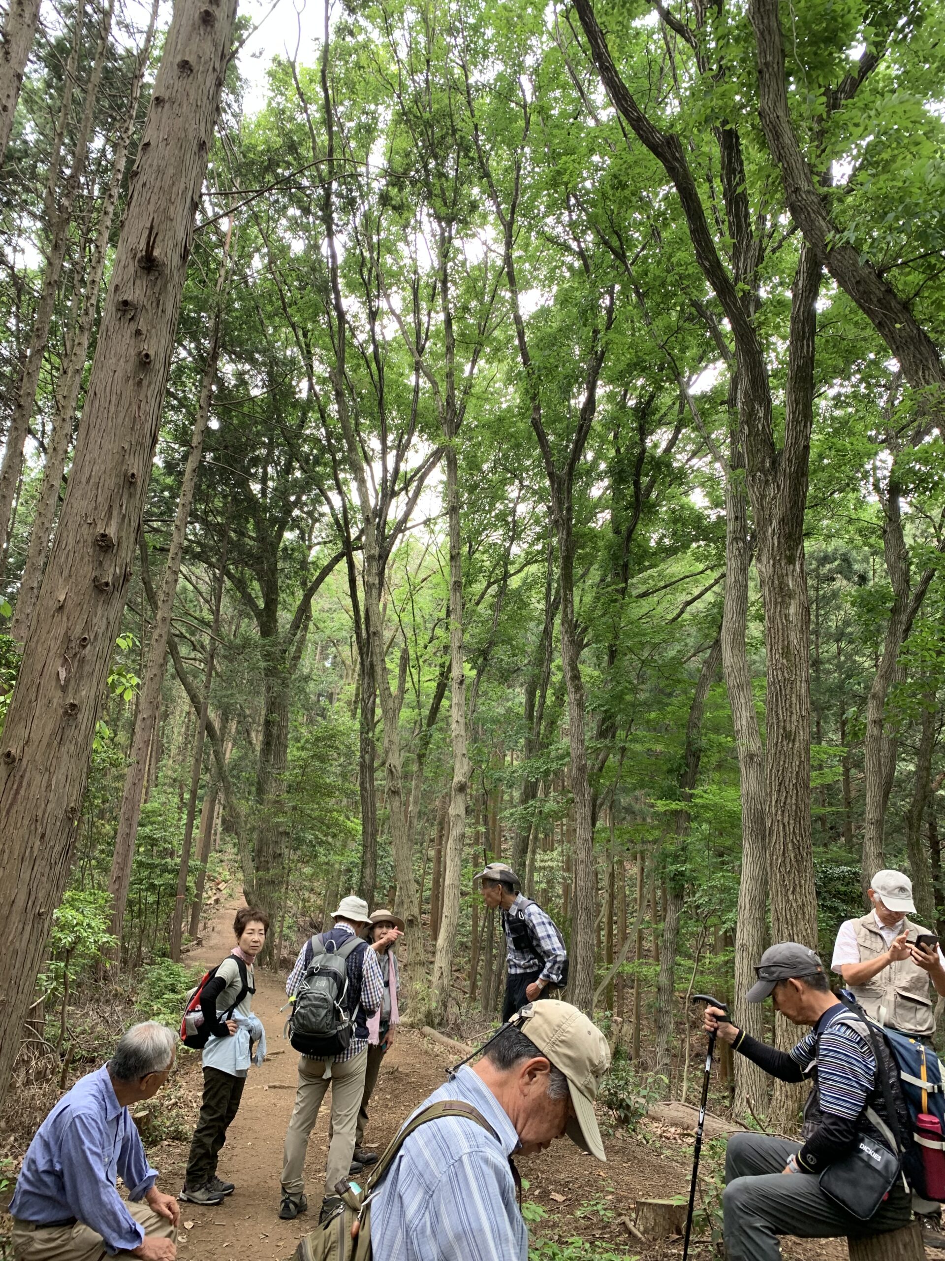ハイキングクラブ 2024年5月 | koedo-jyuku