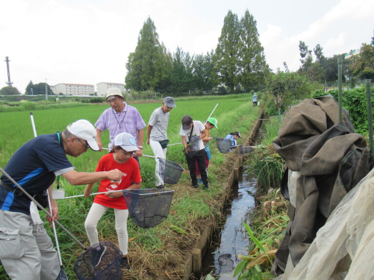 地域活動 | koedo-jyuku